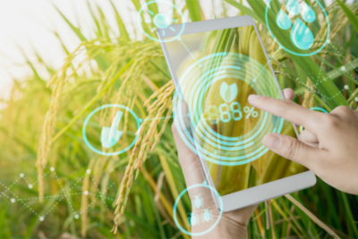 About Teal - Cellular IoT Connectivity | True eSIM From TEAL