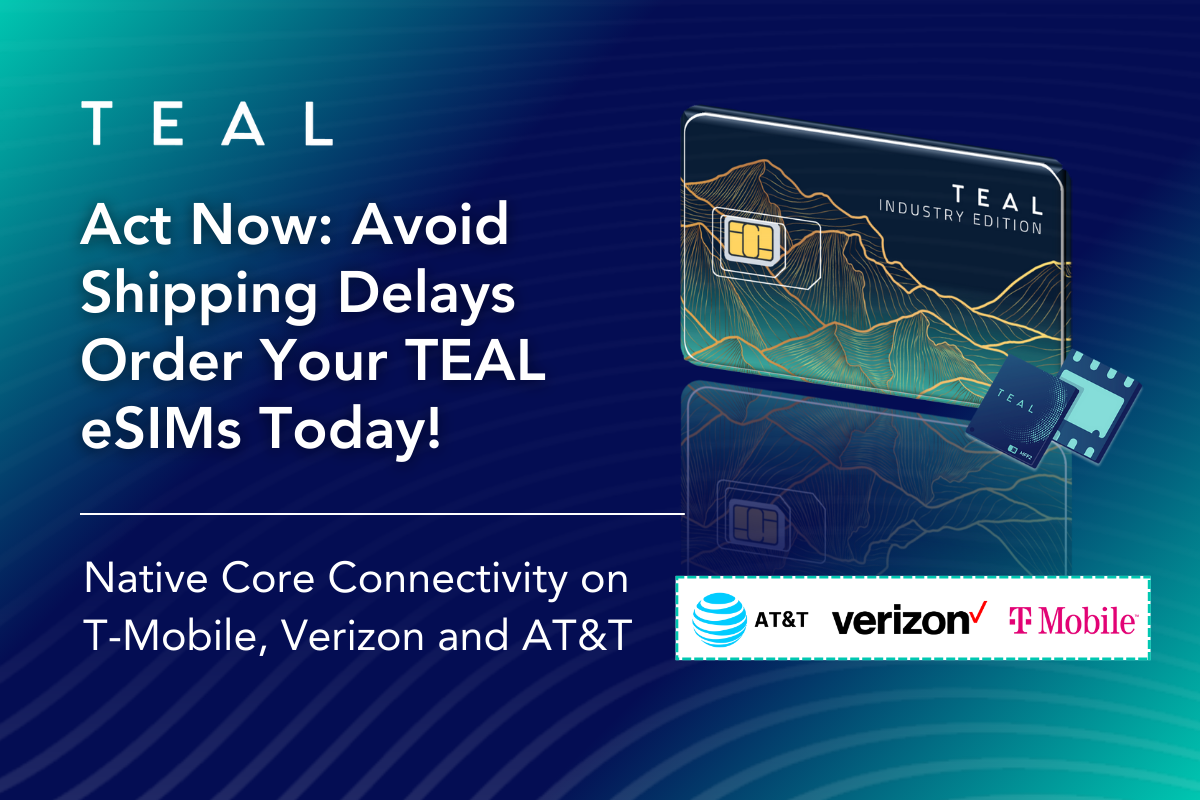 Act Now! Get Ahead of the Holiday Rush with TEAL's eSIM Platform ...