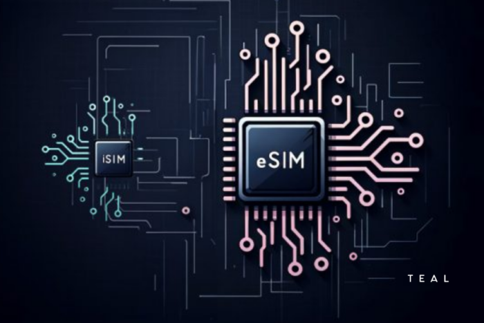 Understanding SIM, eSIM, and iSIM: The Evolution and Future Scope - Cellular IoT Connectivity ...