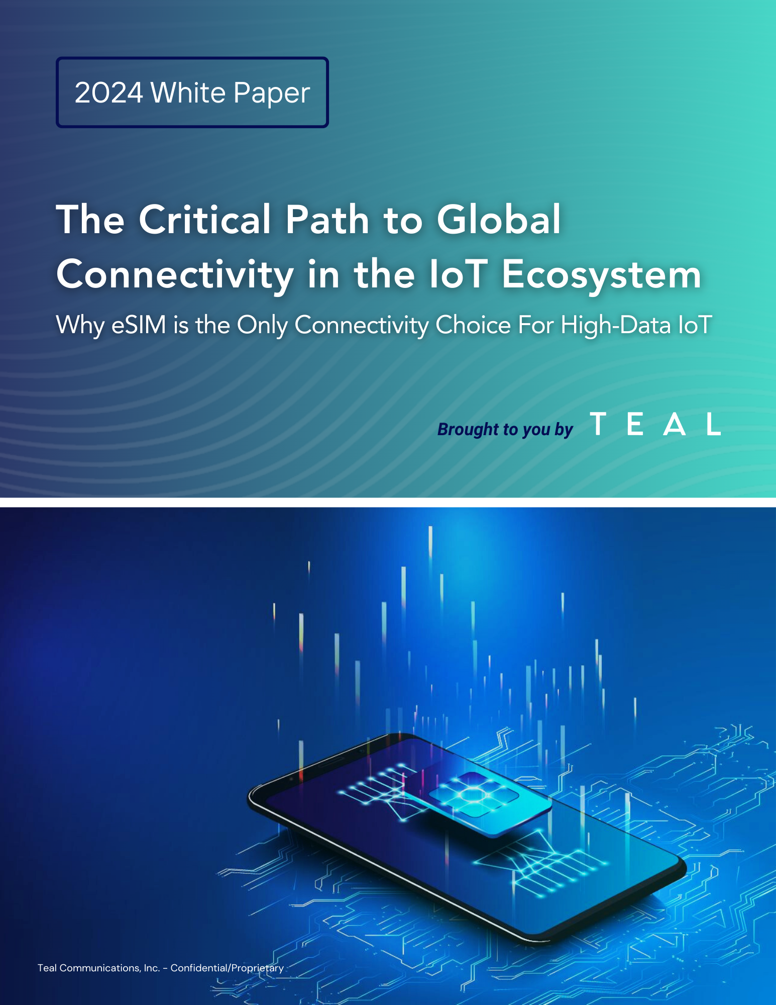 The Critical Path to Global Connectivity in the IoT Ecosystem White ...
