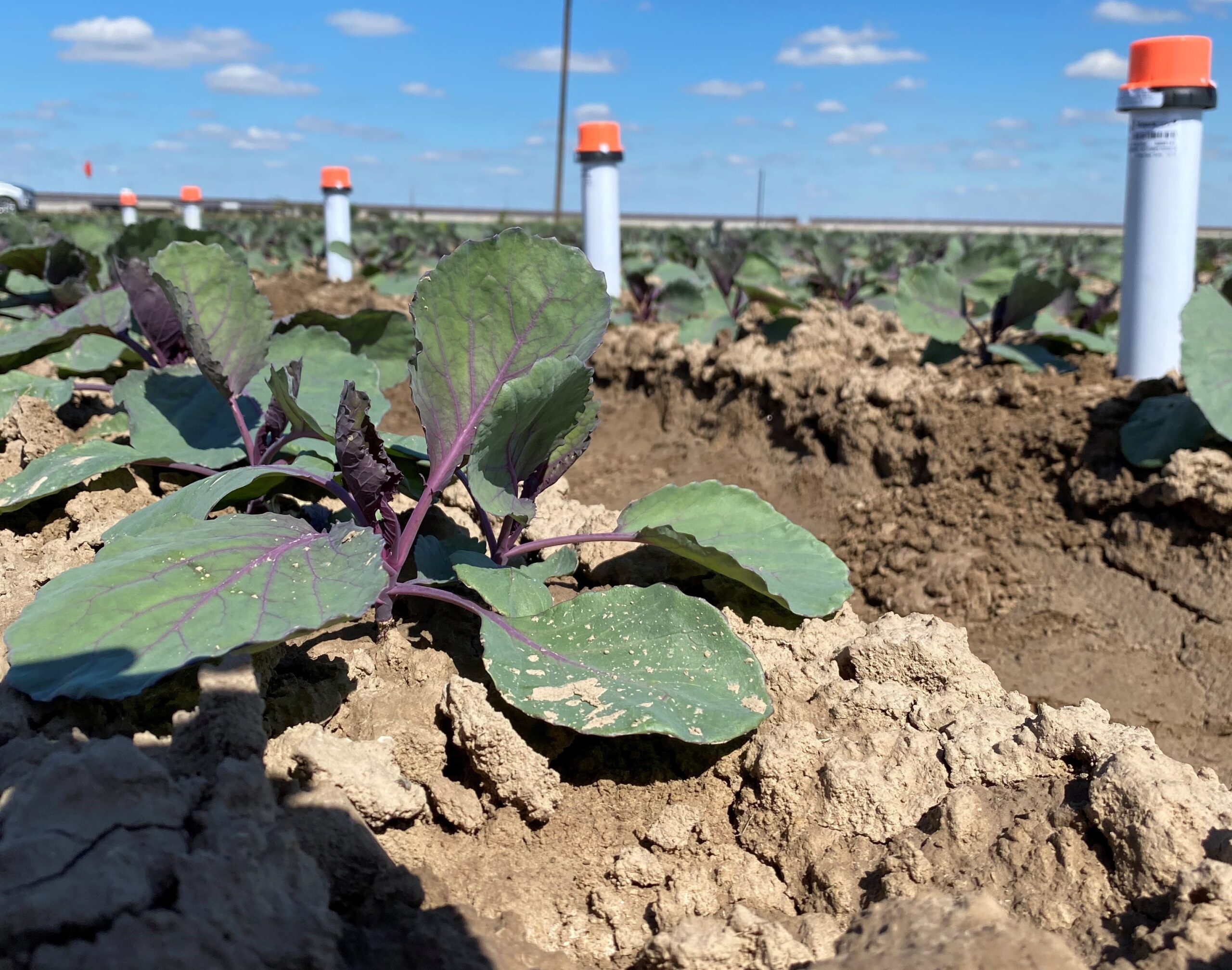 AquaSpy Case Study - Cellular IoT Connectivity | True eSIM From TEAL